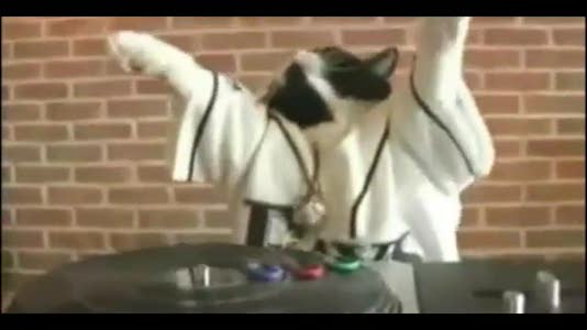 DJ Kat