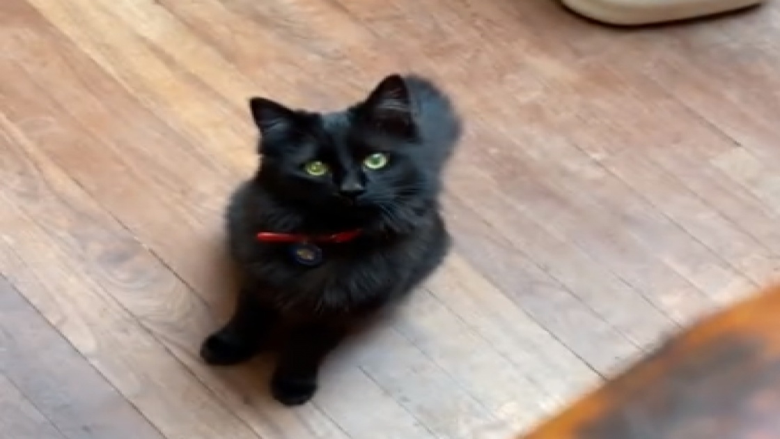 Poliment attendre son tour