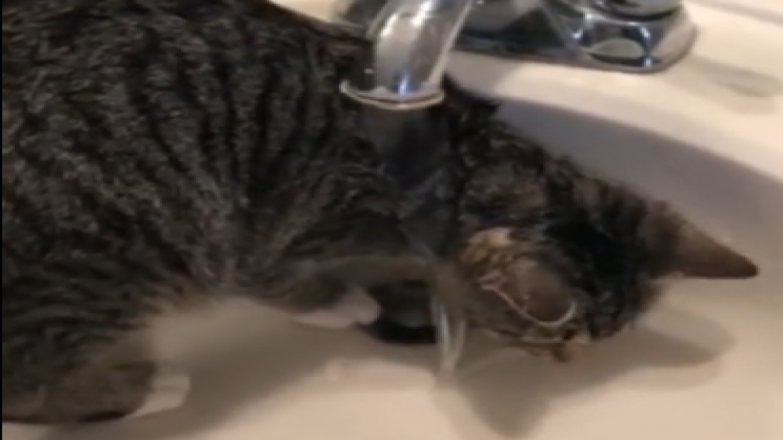 Si personne ne me lave, je vais le faire moi-même!