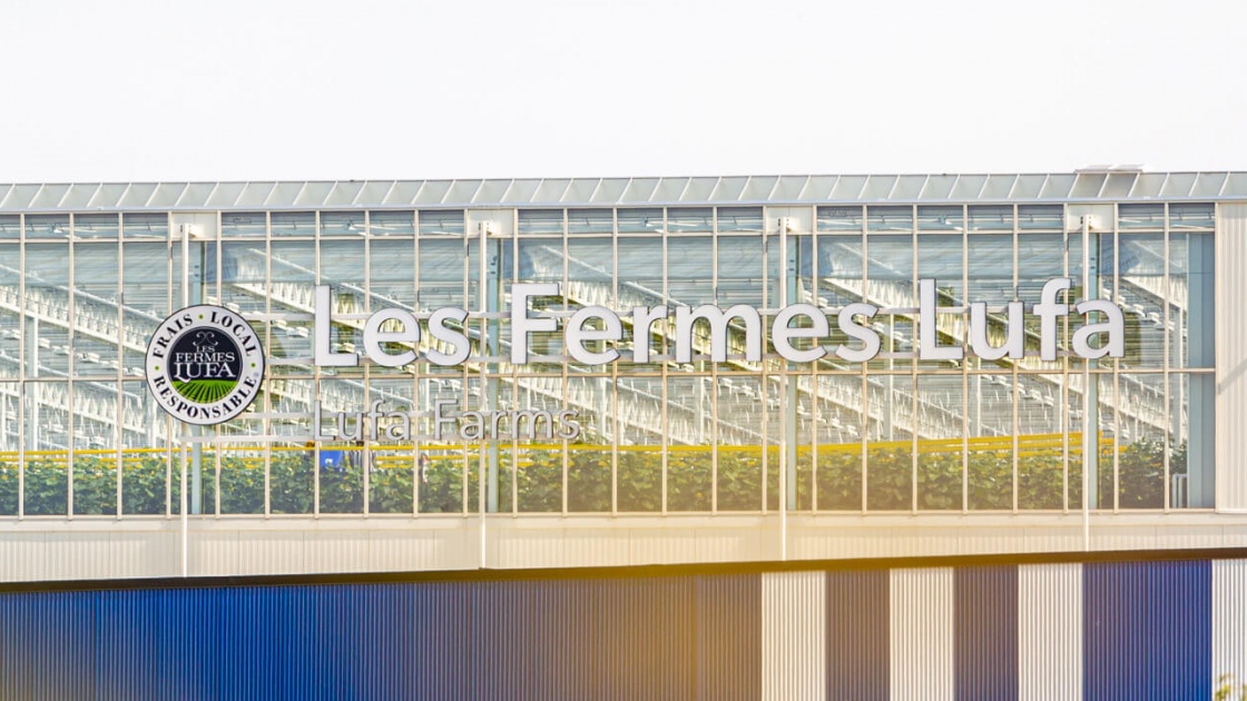 Les Fermes Lufa: une épicerie en ligne 100% locale