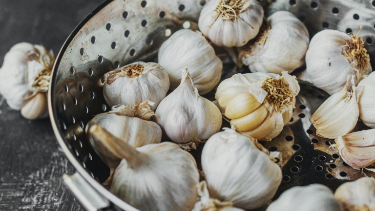 Tout savoir sur la plantation et la récolte de l’ail