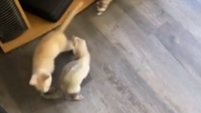 Différents mais pareils