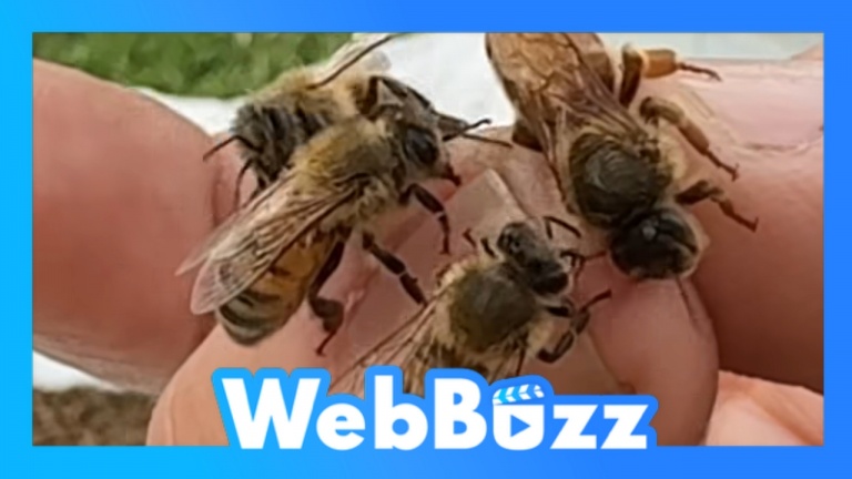 Cet homme n'a pas froid aux yeux